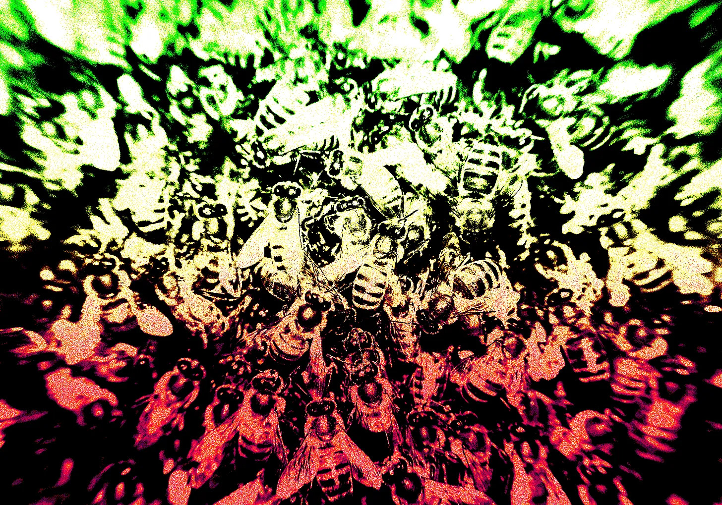 The Swarm